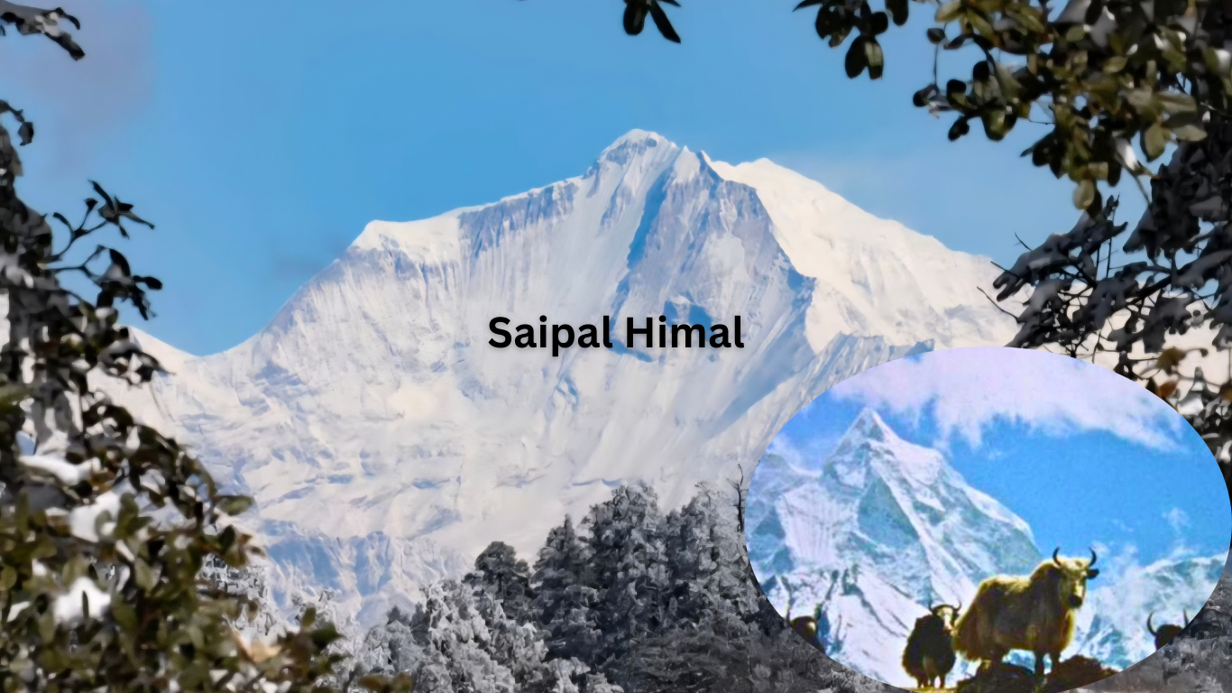 Saipal Rural Municipality: A Unique Natural and Cultural Destination ...